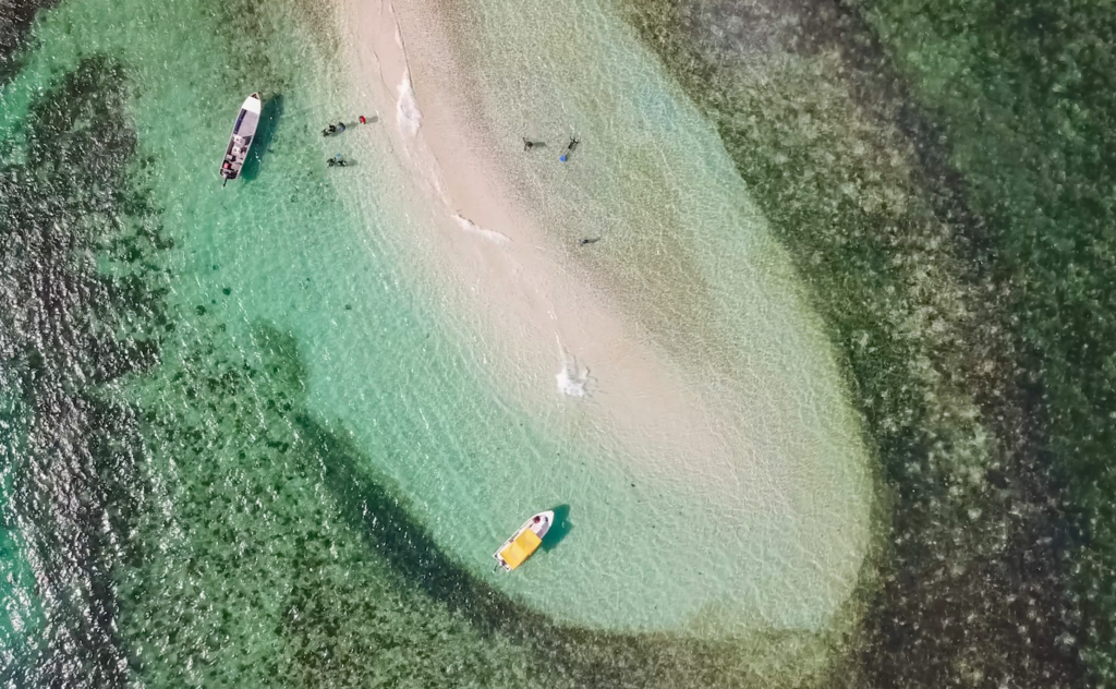 PRO Dive PNG | Papua New Guinea