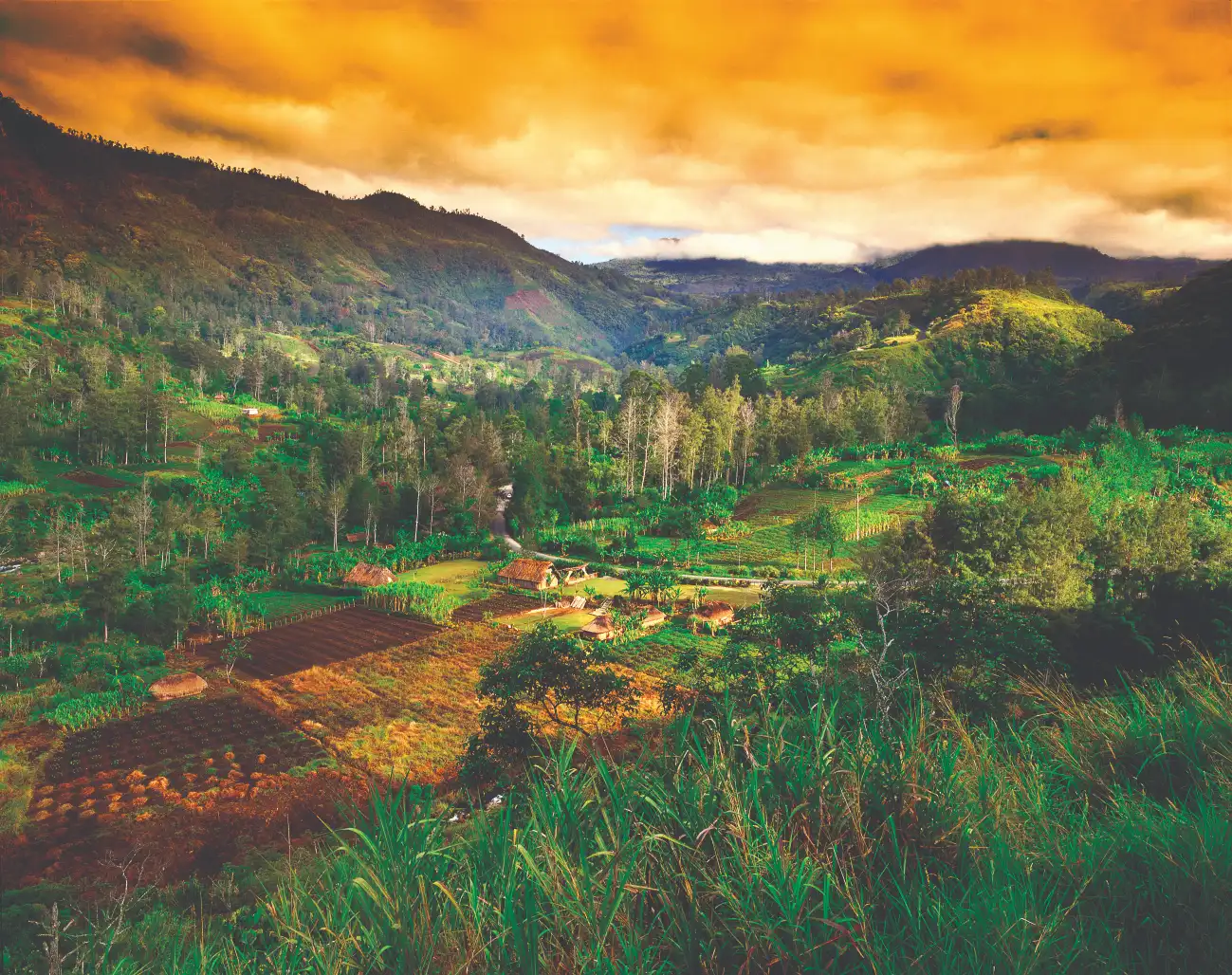 Welcome to Mount Hagen | Papua New Guinea