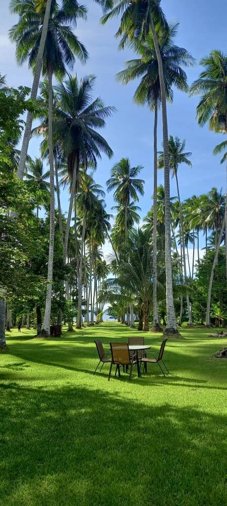 Pero Pero @ Mangul Eco-Friendly Guest Haus | Papua New Guinea