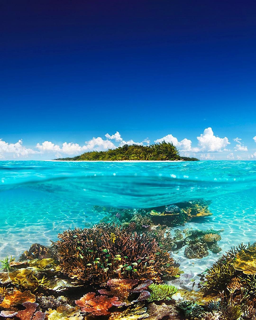 Conflict Islands | Papua New Guinea